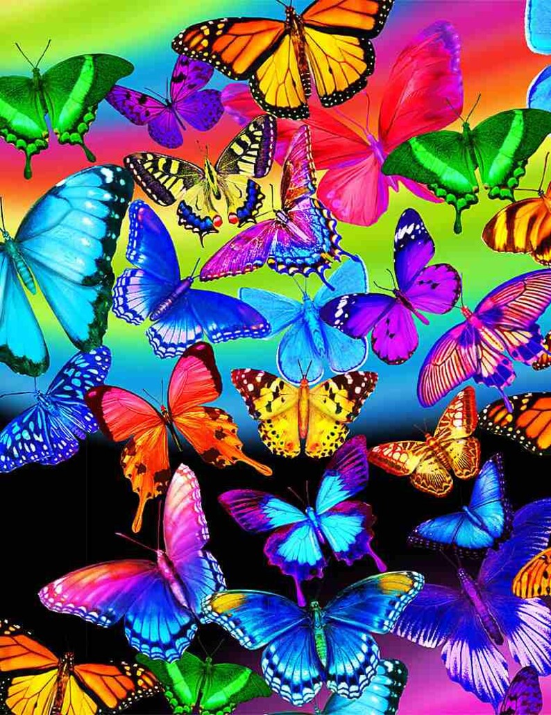 Timeless Treasures Rainbow Butterflies Michael Serle Michael-c7945 ...