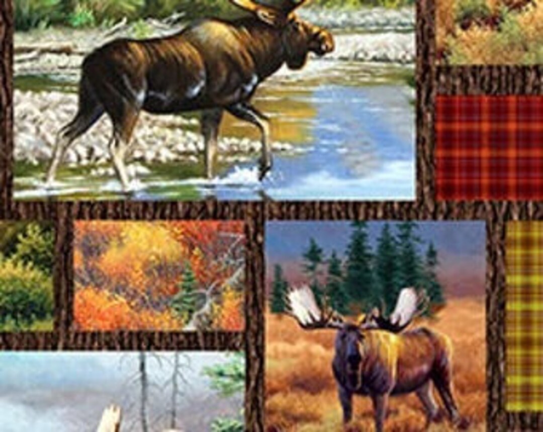 Quilting Treasures - Magnificent Moose - 29242-X - Moose Patches ...