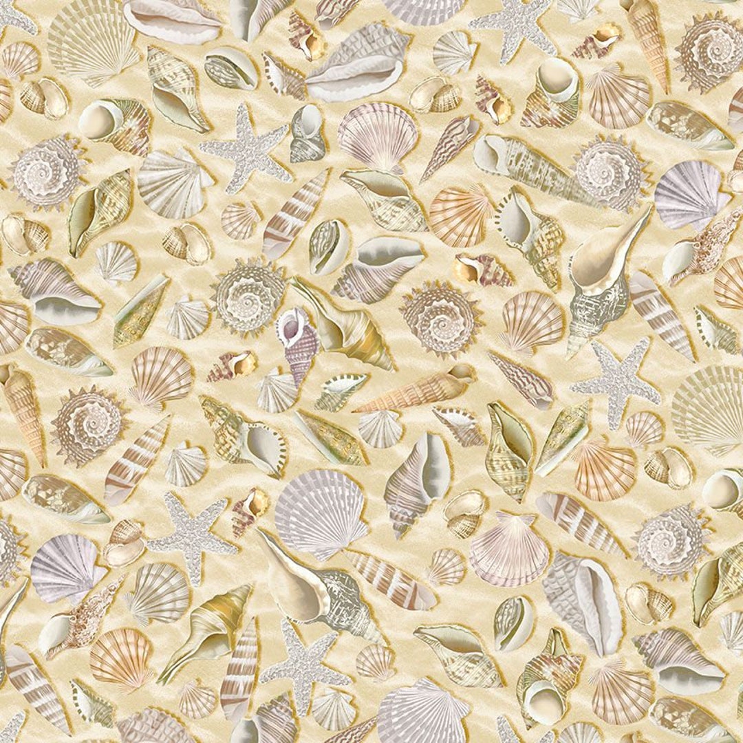 Timeless Treasures - Extra Wide Backings -CD5353 - Shells - Wide Width ...