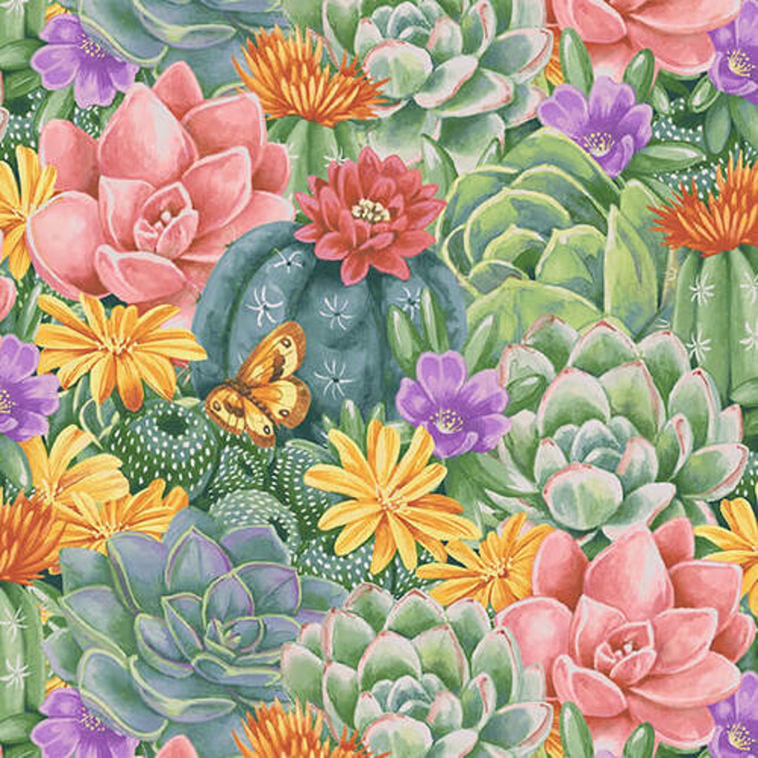 Henry Glass - Dream Catcher - 9741-68 - Packed Succulents - Jane Alison - Cacti - Floral ...