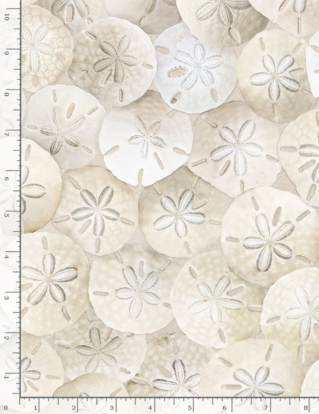 Timeless Treasures - Beach Day - Packed Sand Dollars on Beach - C8461 ...