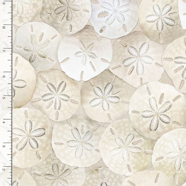 Sand Dollar Fabric - Etsy