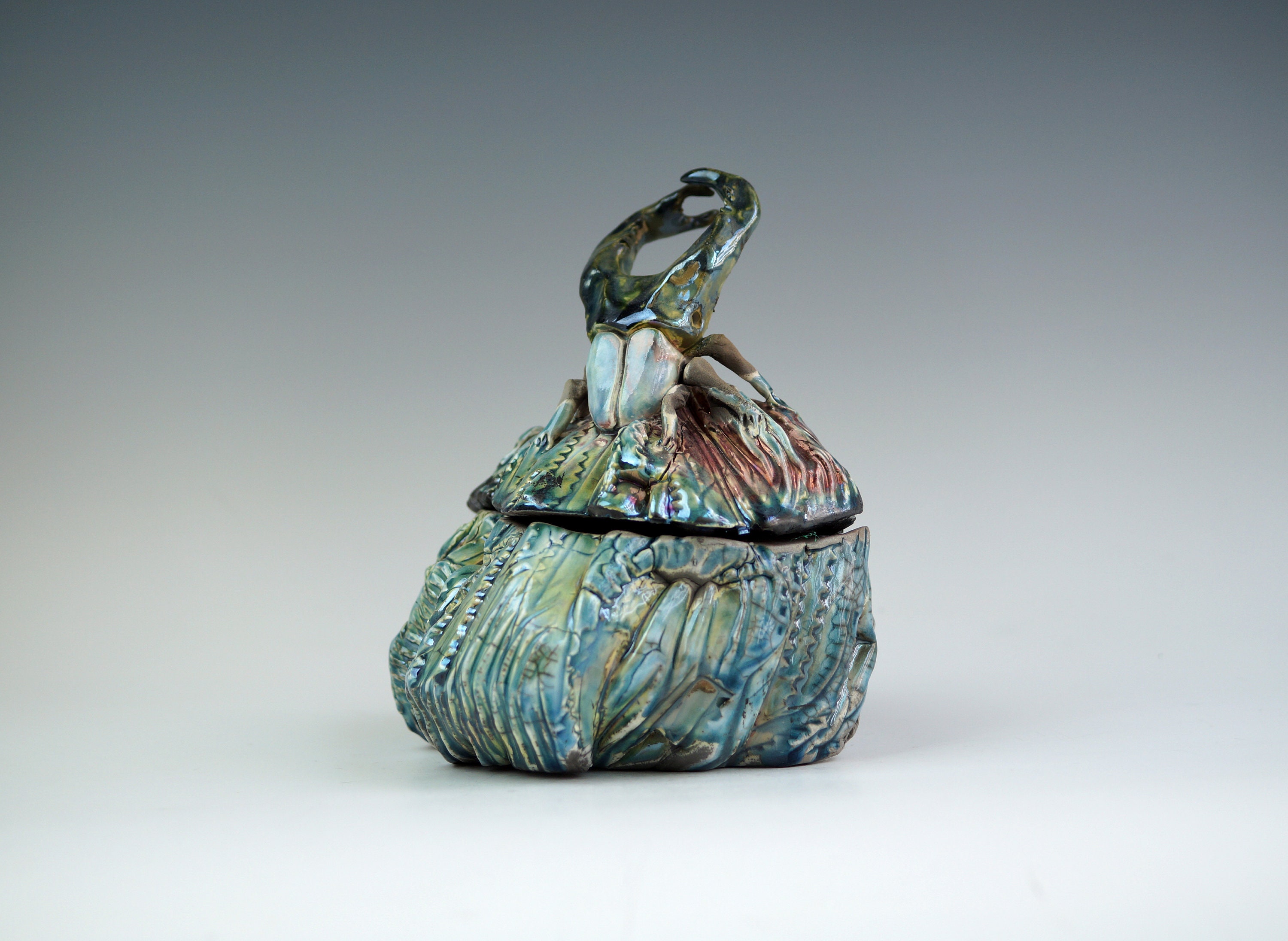 Handmade Raku Jar, Unique Raku Ceramics, Beetle Lid Handle, Art Object ...