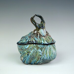 Handmade Raku Jar, Unique Raku Ceramics, Beetle Lid Handle, Art Object ...