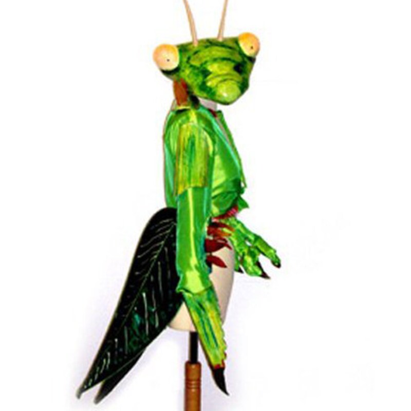 Bug Costume - Etsy