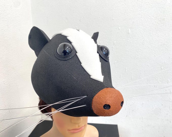 Skunk Mask in Cartoon Style PDF Template, Paper Mask Low Poly - Etsy Canada