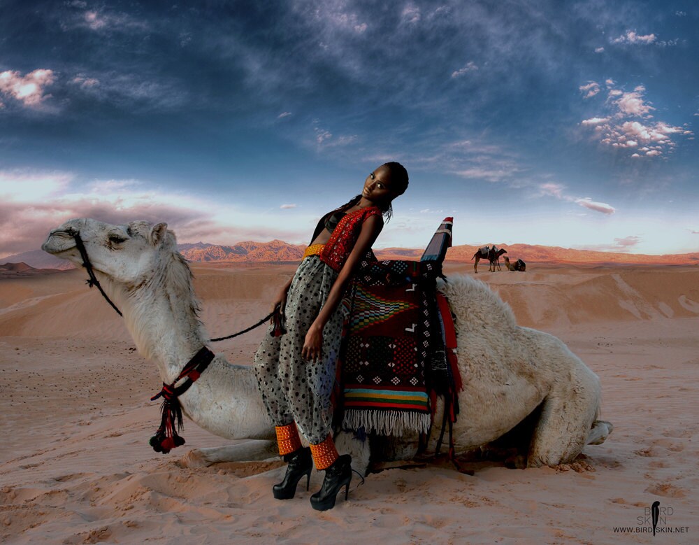 Dara Dress Reversible Black-to-silver Sequin Wrap Dress Loralai Pants ...