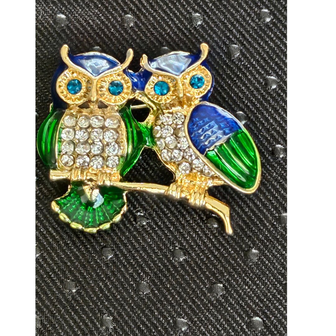 Vintage Two Owls Enamel With Teal Eyes & Clear Crystals Brooch Pin Wild ...