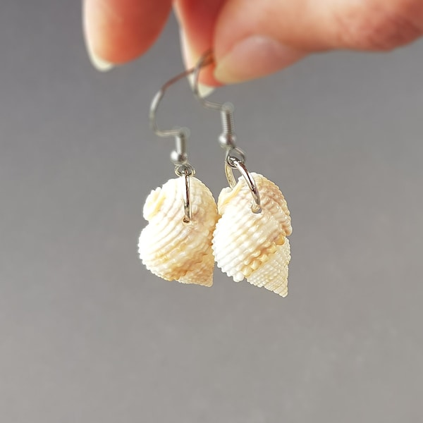 Real Seashell - Etsy