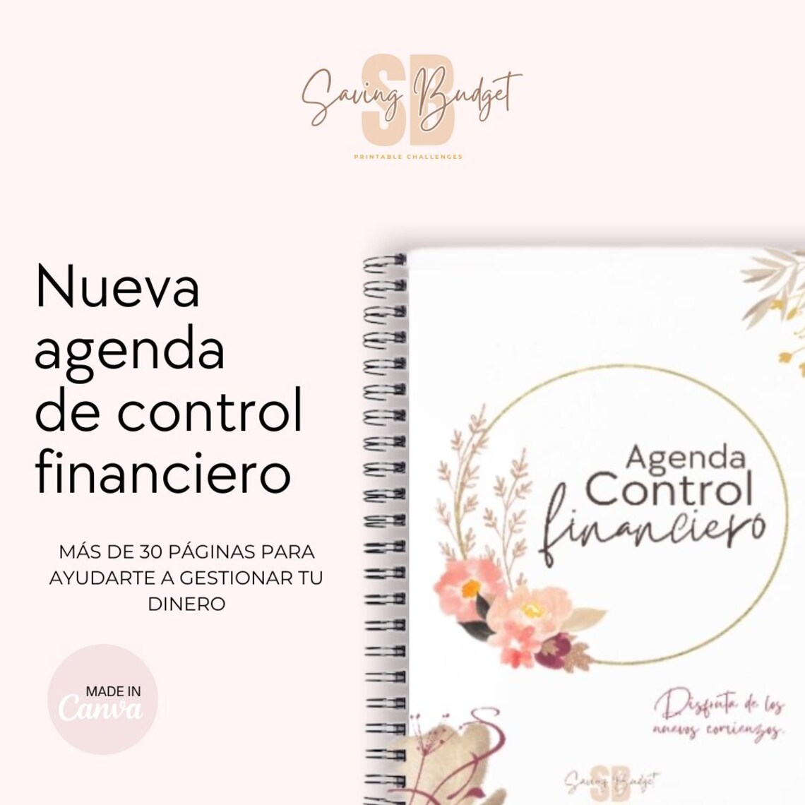 A5 Financial Planner in Spanish, Finance Diary, Undated Perpetual Diary ...
