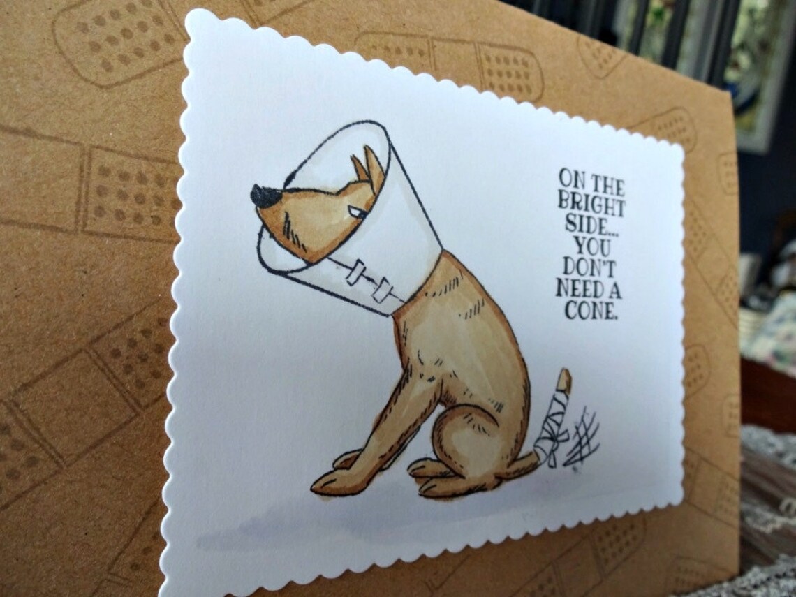 Funny Dog Get Well Soon Card Dog Cone Encouragement Feel | Etsy Nederland Funny Dog Get Well Soon Card Dog Cone Encouragement Feel | Etsy Nederland