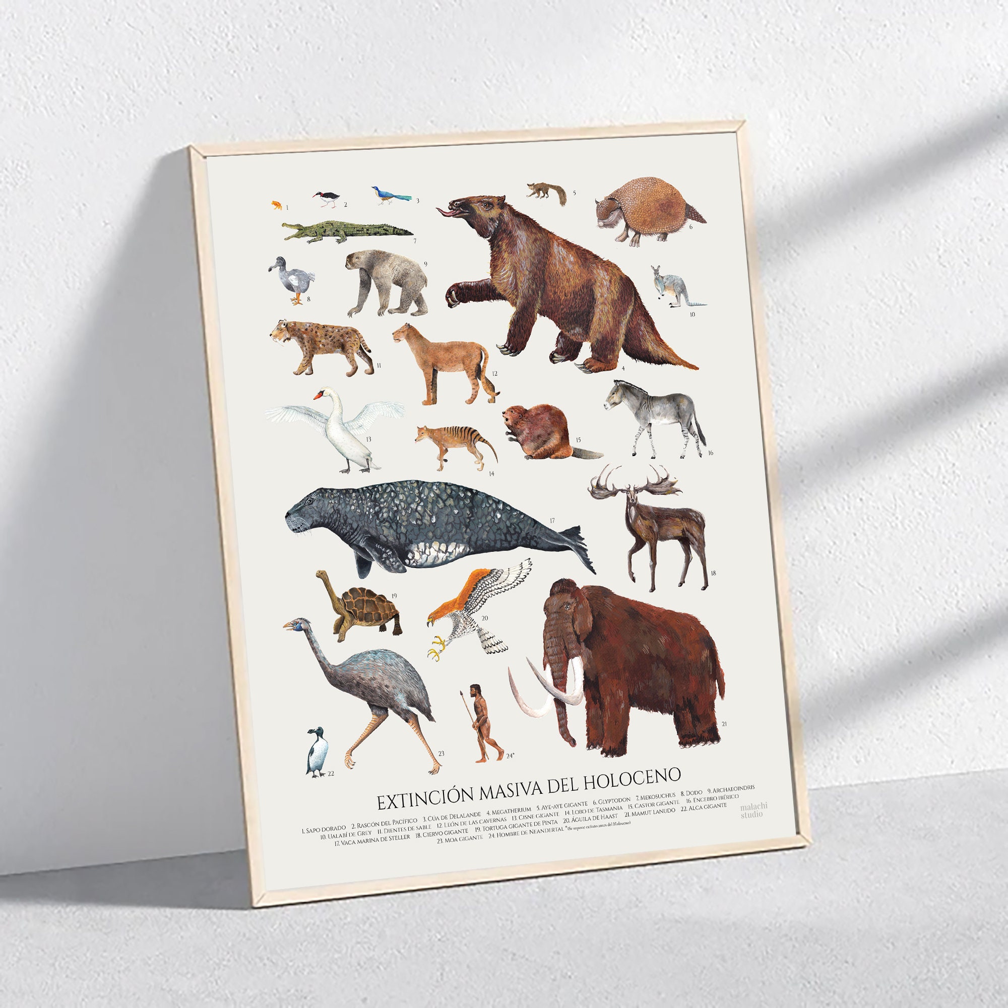 Poster De Animales Extinción Masiva Del Holoceno. Ilustración De ...