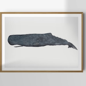 Sperm Whale Original Illustration Made With Gouache - Etsy