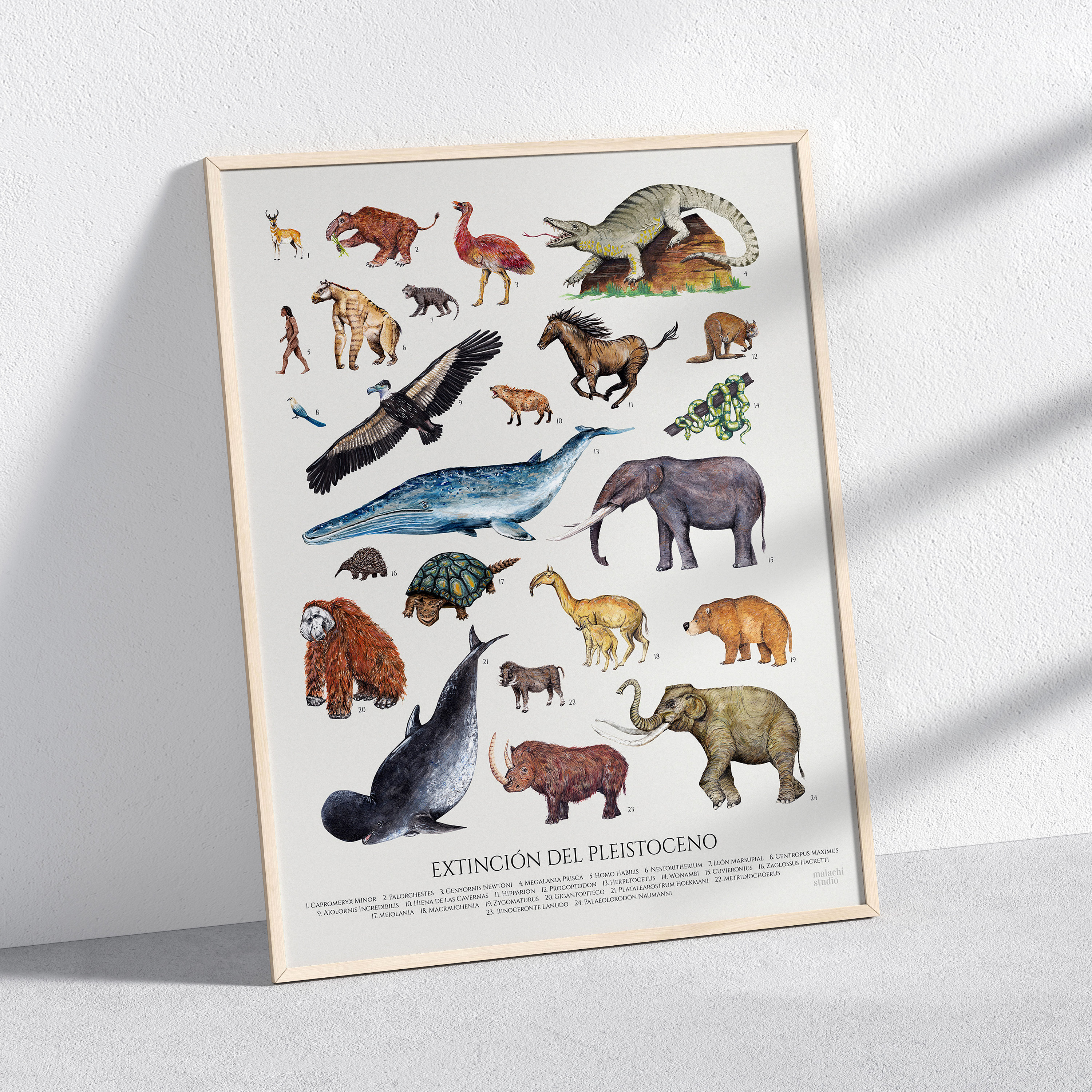 Pleistocene Animals Extinction Poster. Vintage Inspired Science Poster ...