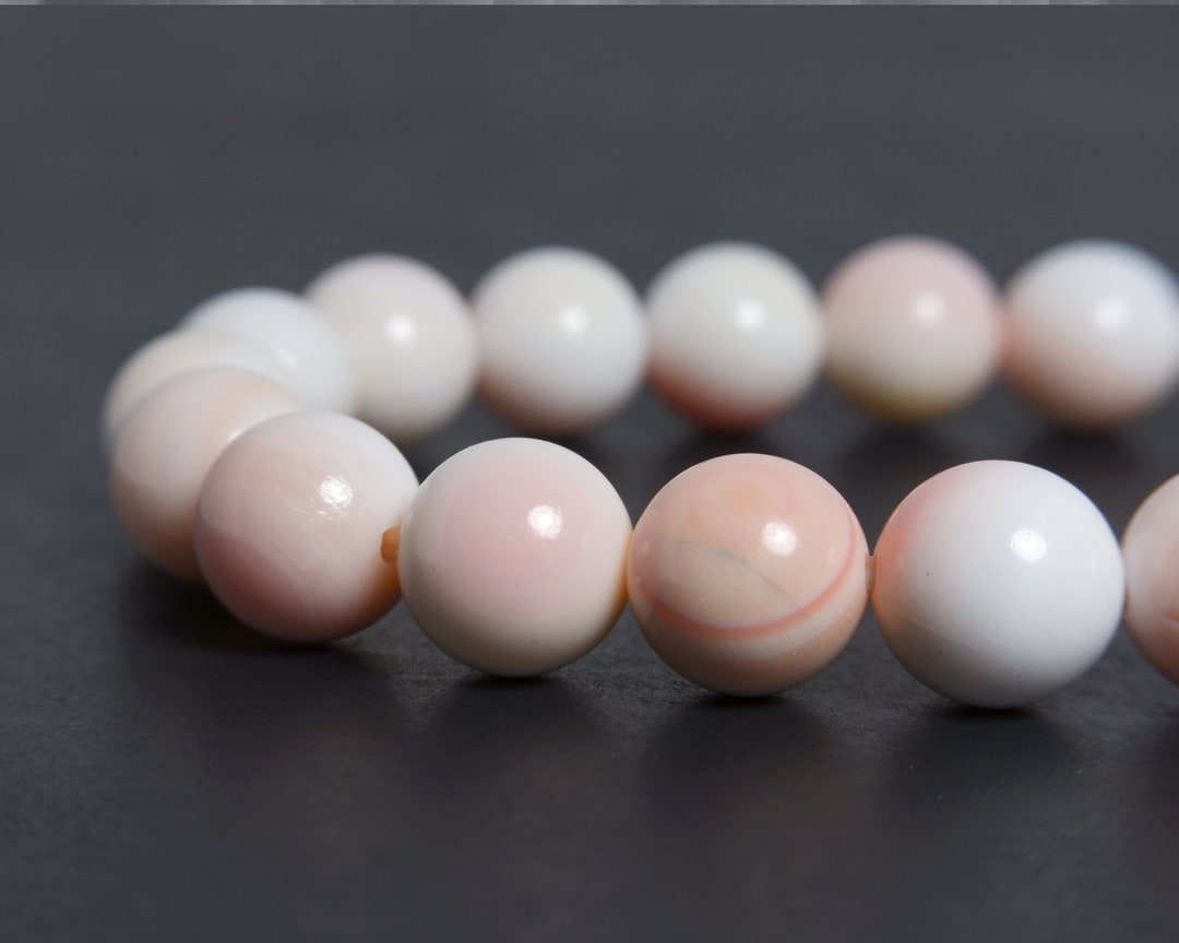 8mm Queen Conch Shell Stretch Bracelet - Etsy