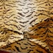 SCALAMANDRE LE TIGRE Tiger Silk Velvet Fabric 2 Yards Ivory Gold Black ...