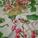 SCALAMANDRE CHINOISERIE SHANGHAI Blossoms Baskets Butterflies Toile ...
