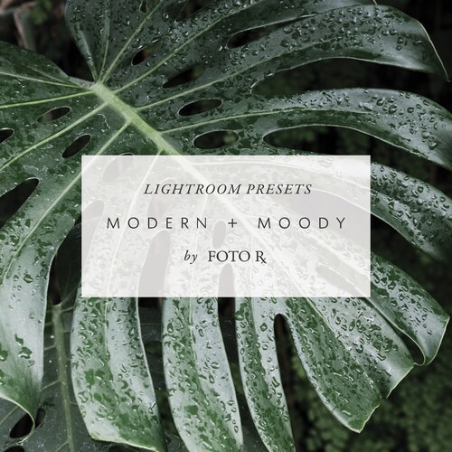 Deep Moody JADE Lightroom Presets Pack for Desktop and Mobile | Etsy