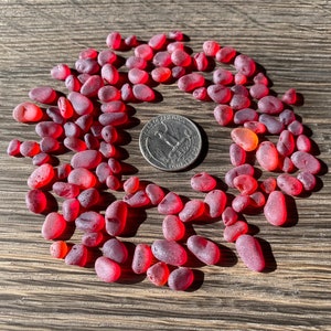 Very Tiny Red Tumbled Glass Stones Mini Glass Red 5-9mm Very Tiny Sea ...