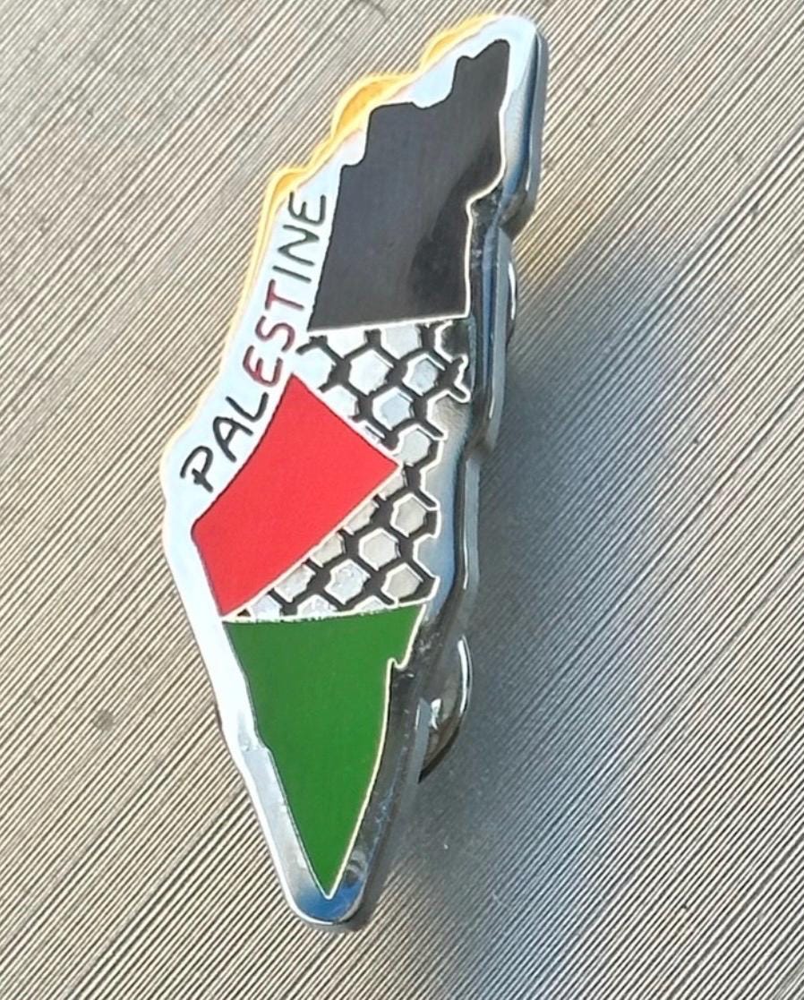Palestine Enamel Pin Map W/ Keffiyeh Pattern - Etsy