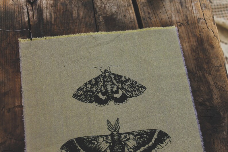 Moth Study Patch | Etsy