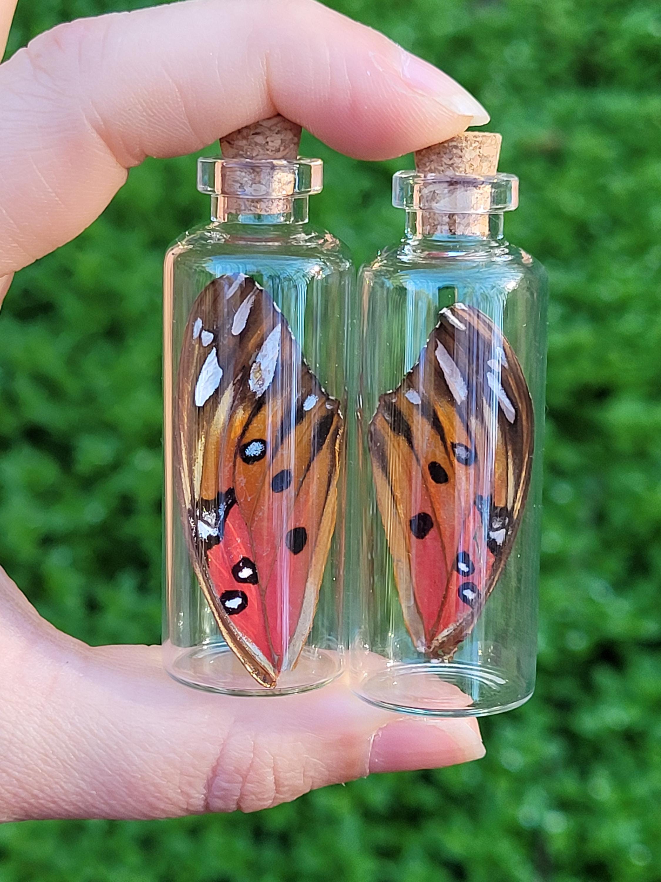 Curiosity Curio Cabinet Collection Vials: Pick From- Mummified ...