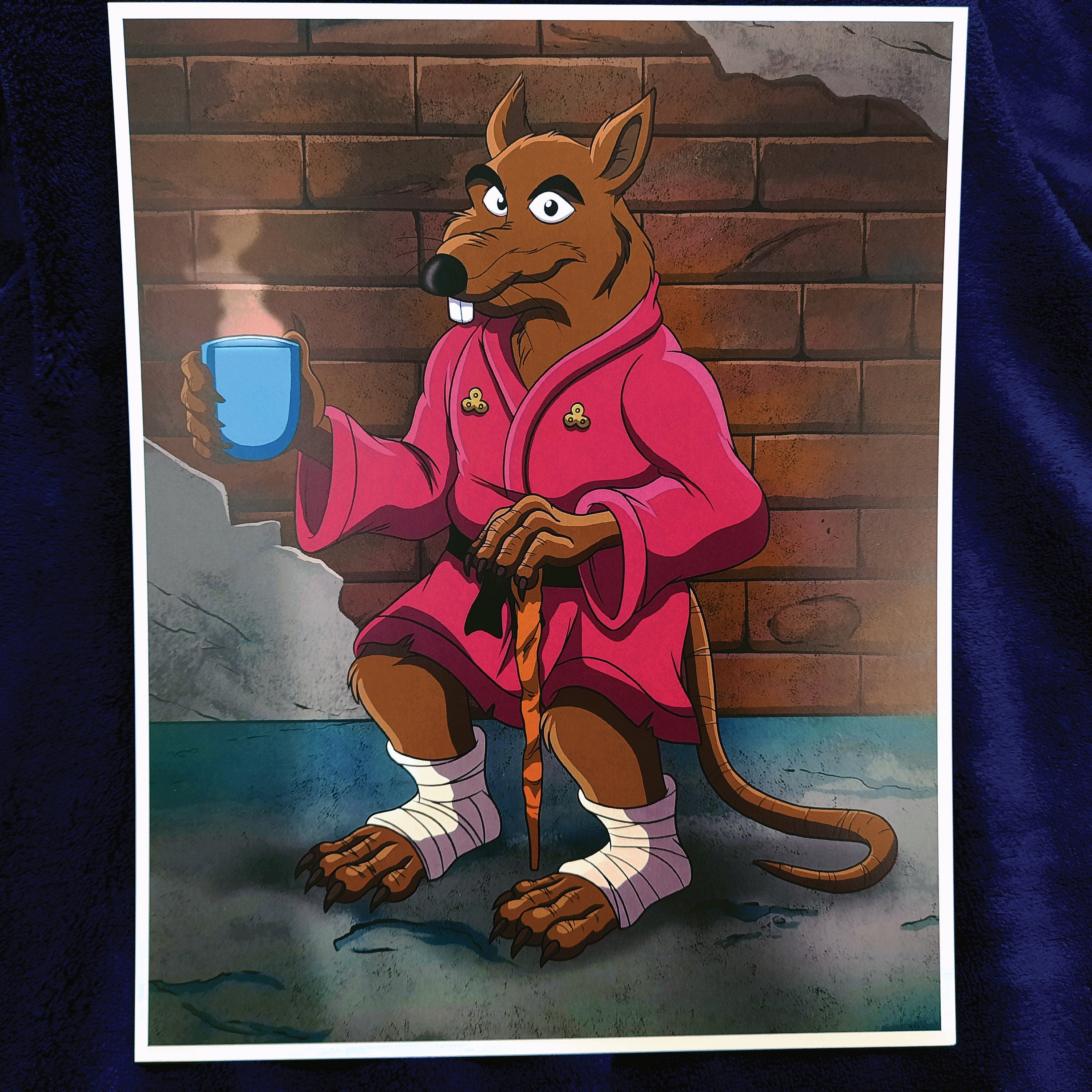 Master Splinter 8x10 Print | Etsy