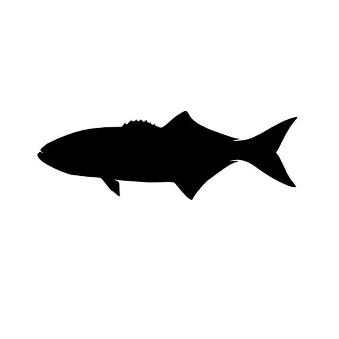 Bluefish Decal | Snapper | Fishing | Vinyl | Diecut | Decal | Car ...