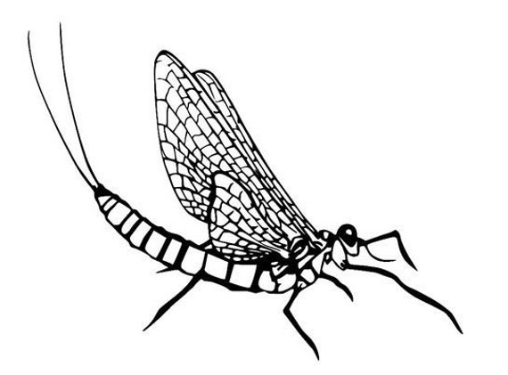 Mayfly Decal Fly Fishing Vinyl Diecut Decal Car | Etsy