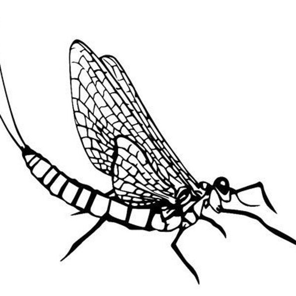 Fly Fishing Decal - Etsy