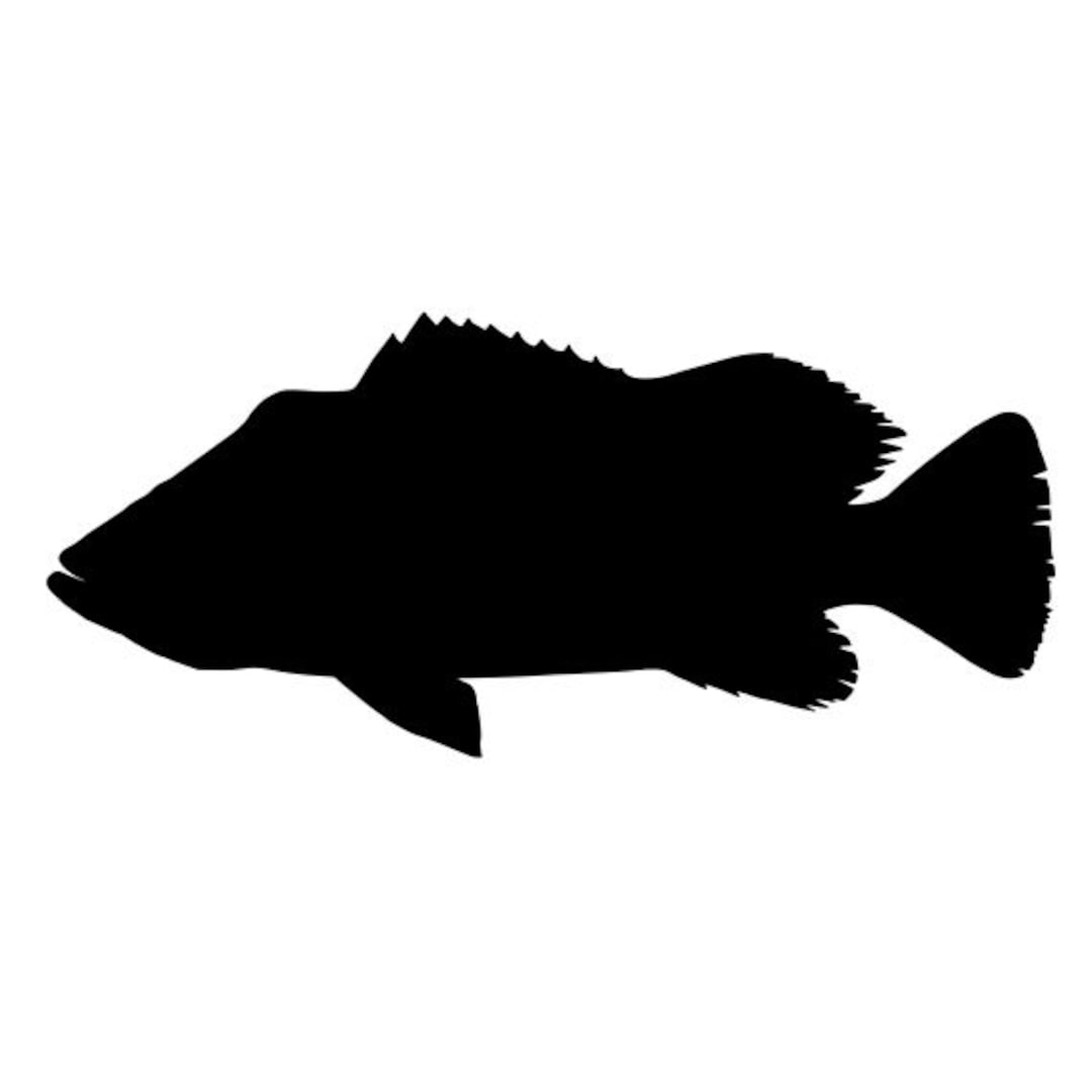 Peacock Bass Decal | Bass | Fishing | Vinyl | Diecut | Decal | Car ...