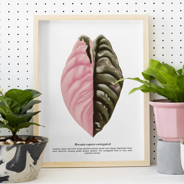 Botanical poster - Etsy France
