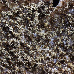 Endlichite Calcite. 1241.5 Cents. Erupción Mine, Los Lamentos Mts ...