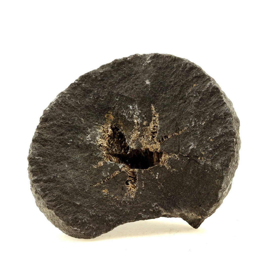 Septaria, Barite. 3609.0 Ct. Col De Pré Guittard, Drôme, France - Etsy