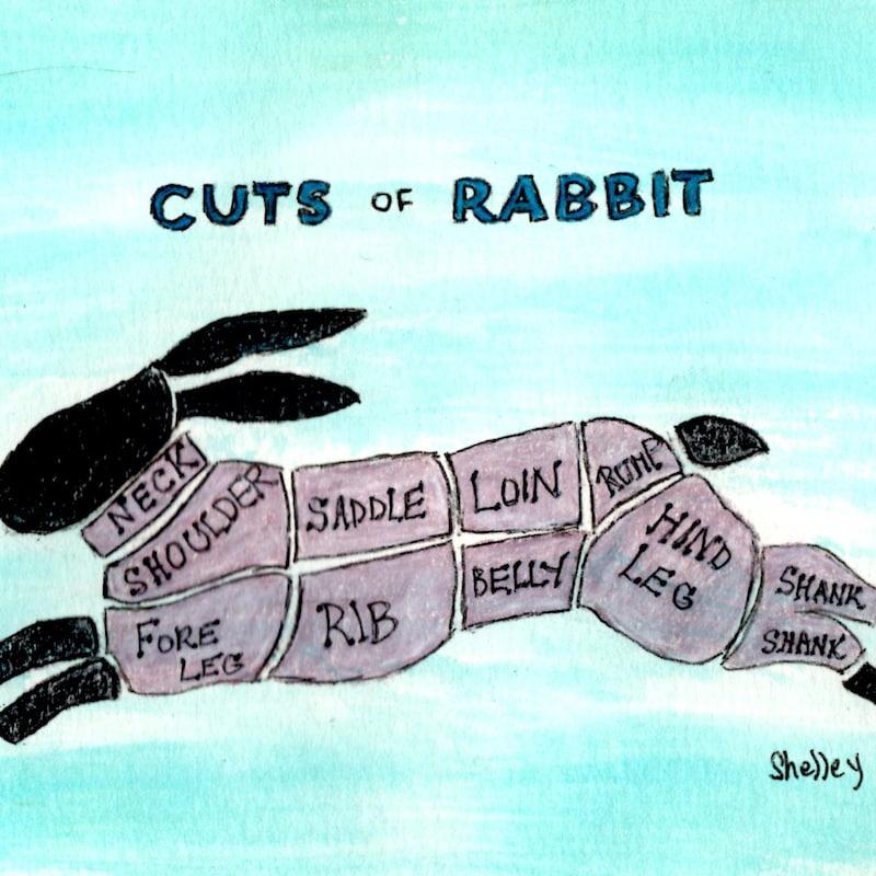 Hopper Popper Rabbit Dispatch - Etsy