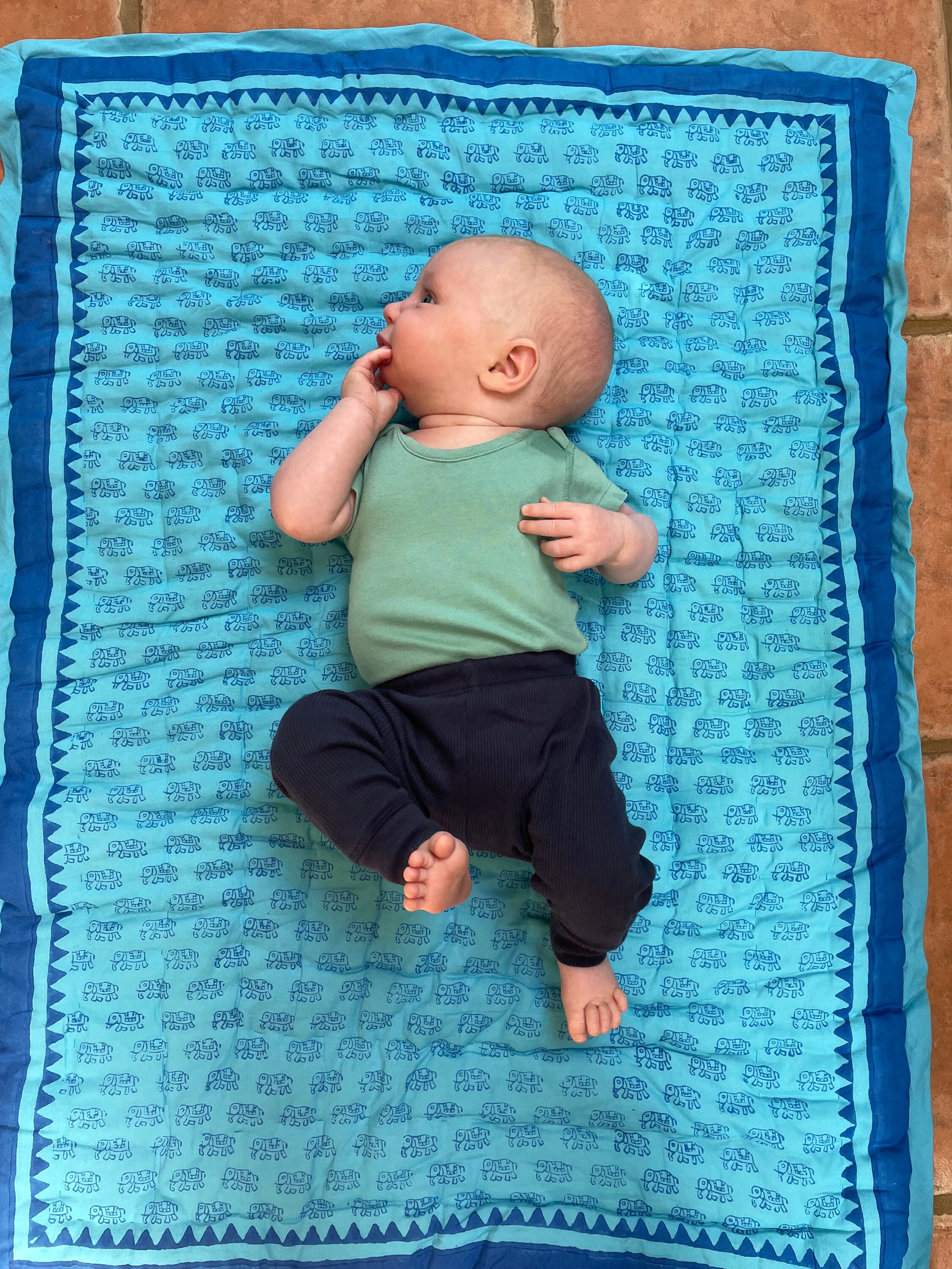 Blue Baby Cot Quilts Hand Block Printed on Organic Cotton - Etsy