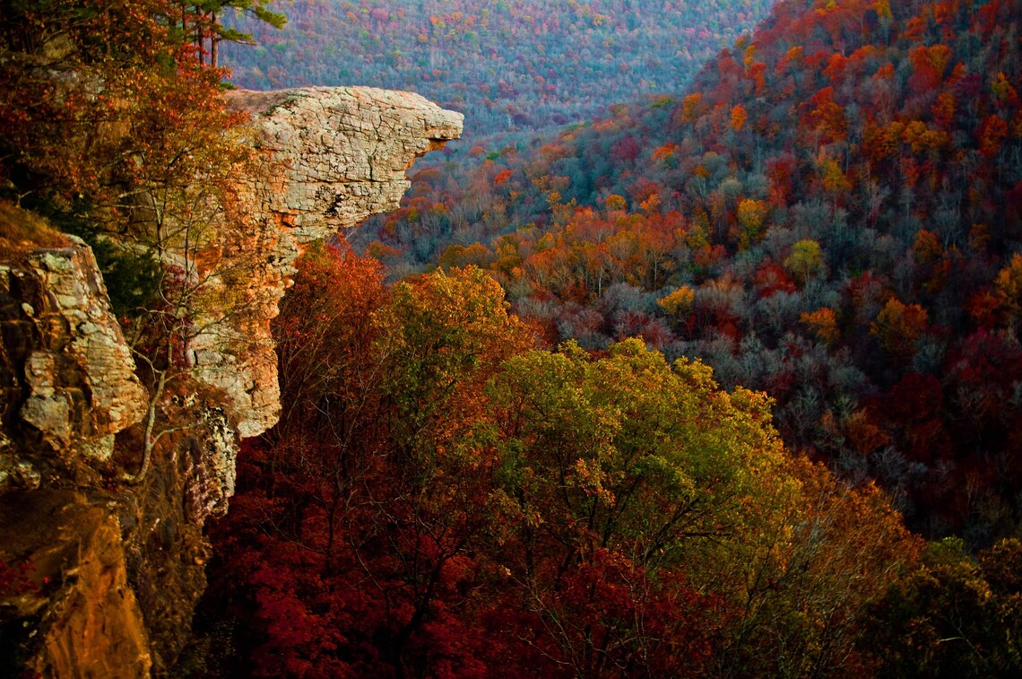 Hawksbill Craig - Etsy