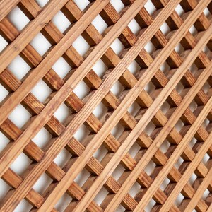 Sakura Farmhouse Asian Window Panel, Antique Asian Wood Lattice Window ...