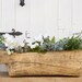 Massive Antique Bleached Wood Trough Planter, Wooden Trough, Tree Trunk ...