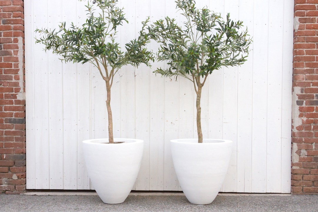 Set of 2 Classic White Round Planters, Pair of Large White Terracotta ...