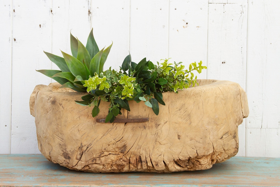 Robust Carved Asian Trough,handcarved Tree Trough Planter,rustic Tree ...