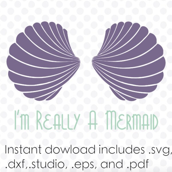 Sea Shell Bra - Etsy