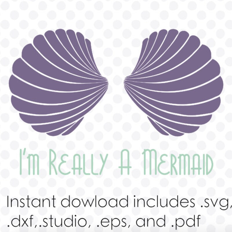 Sea Shell Bra - Etsy