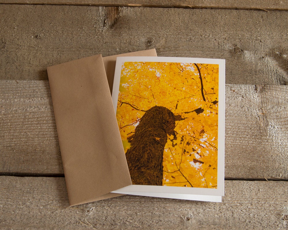 Fall Color Note Cards. Trees, Leaves, Waterfall. Set of 12 With Kraft ...