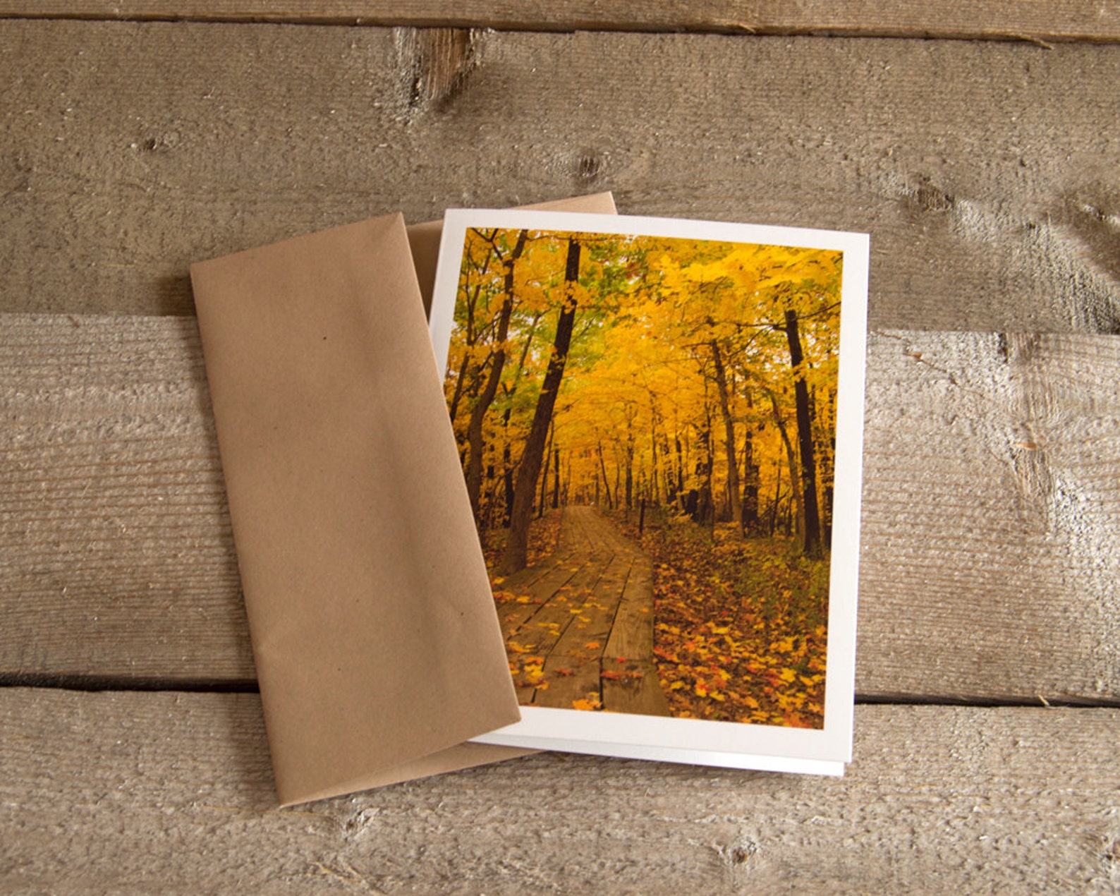Fall Color Note Cards. Trees, Leaves, Waterfall. Set of 12 With Kraft ...