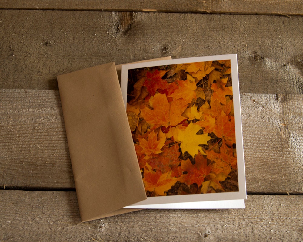 Fall Color Note Cards. Trees, Leaves, Waterfall. Set of 12 With Kraft ...