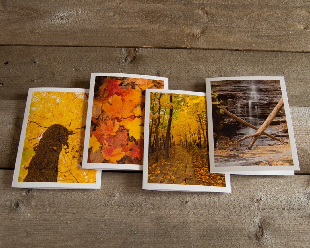 Fall Color Note Cards. Trees, Leaves, Waterfall. Set of 12 With Kraft ...