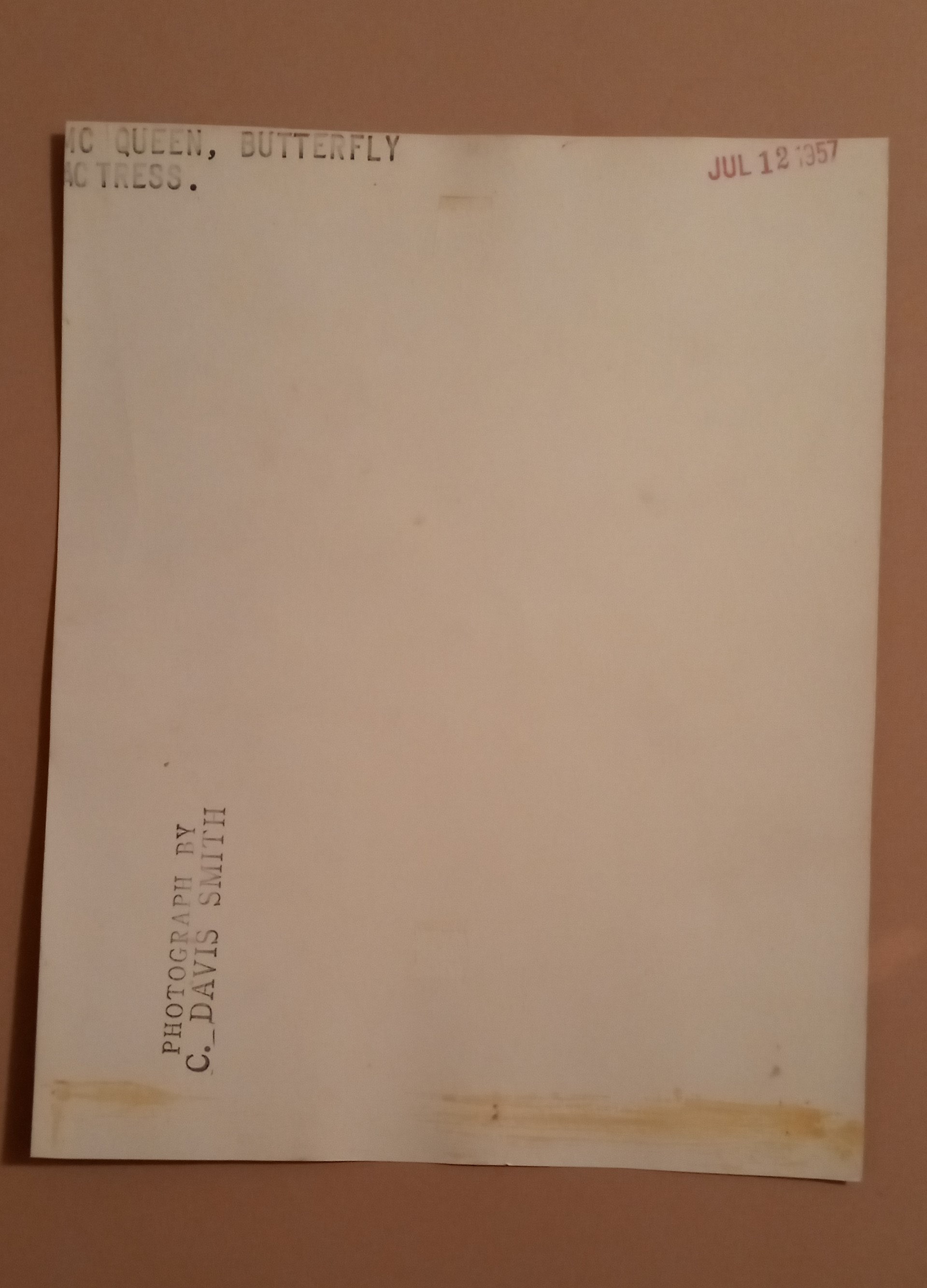 Vintage Photo, Actress Butterfly Mc Queen, by C. Davis Smith July 12 ...