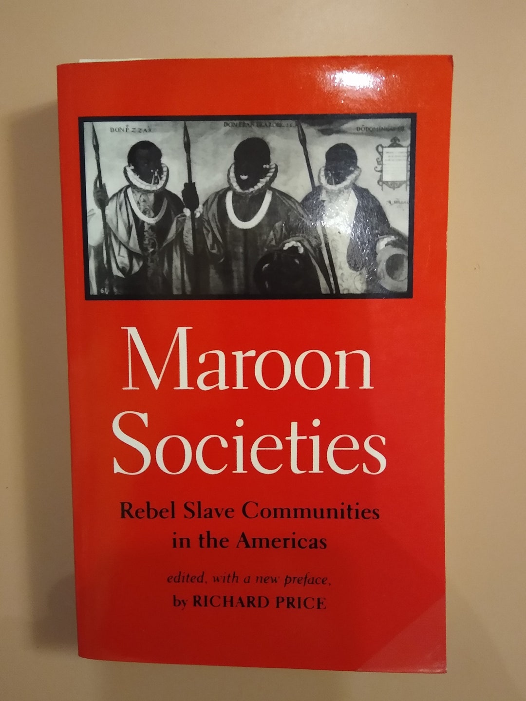 Maroon Societies, Rebel Slave Communities in the Americas by Richard ...