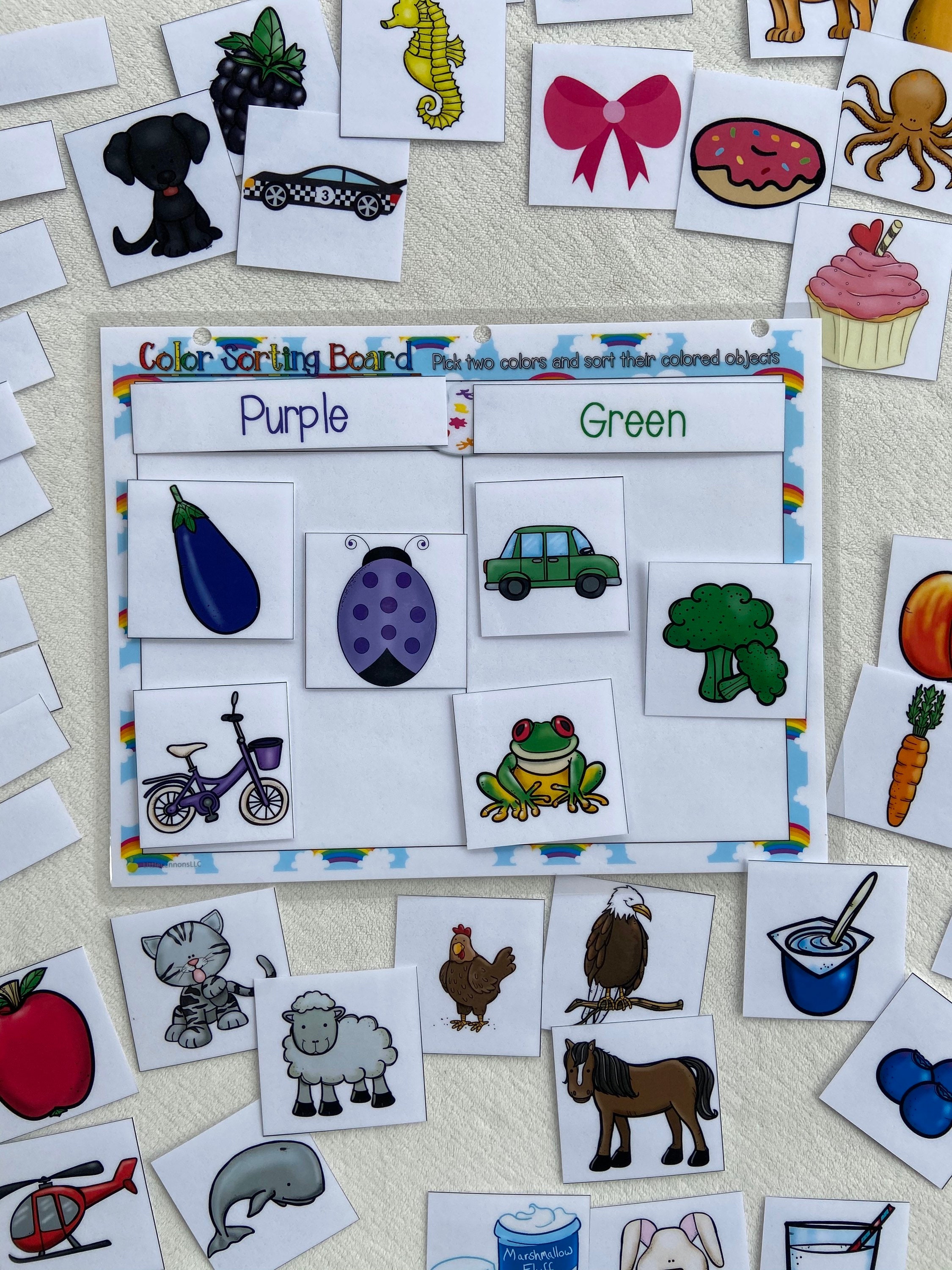 Color Sorting Digital Download Homeschool Activity | Etsy